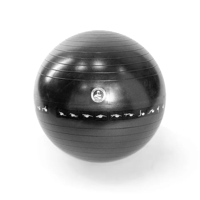 Bells of Steel Exercise Ball – 306 Fitness Repair & Sales